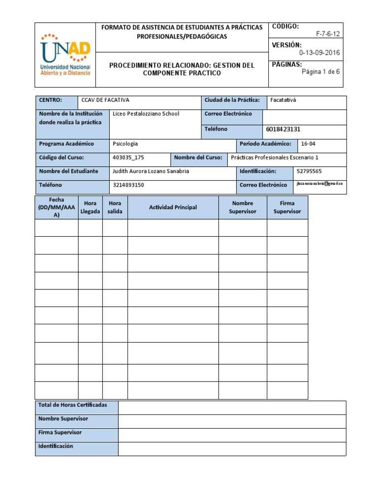 Formato Horas Prácticas | PDF