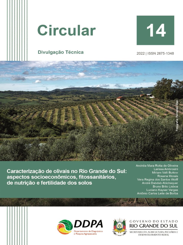 Circular Oliva Vfinal 111122 | PDF | Azeitona | Azeite