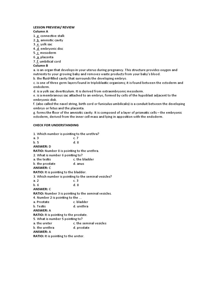 Anaphy Lab Sas-44 | PDF | Anatomy | Reproduction