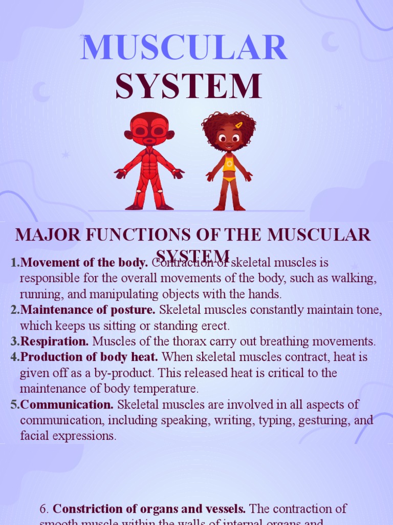 Chapter 7 - Muscular System | Download Free PDF | Muscle Contraction | Chemical Synapse