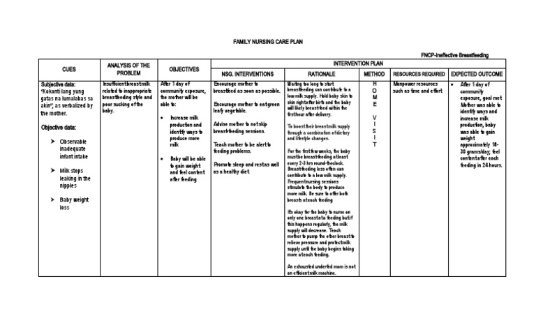 FNCP-Ineffective Breastfeeding | PDF