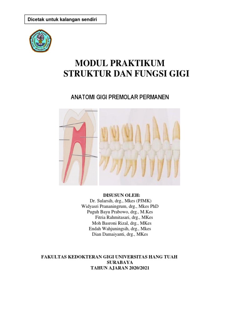 3 - Rahmadiah Amihani - 19.88 - Gigi Premolar | PDF