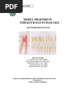 Klasifikasi Diagnosis Endodontik Berdasarkan AAE | PDF