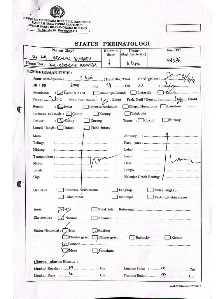 Pengkajian Neonatus | PDF