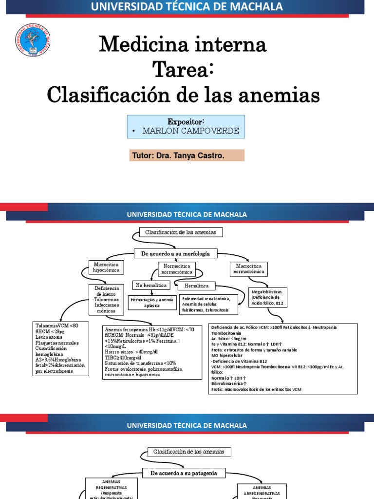 Clasificación de Las Anemias | PDF