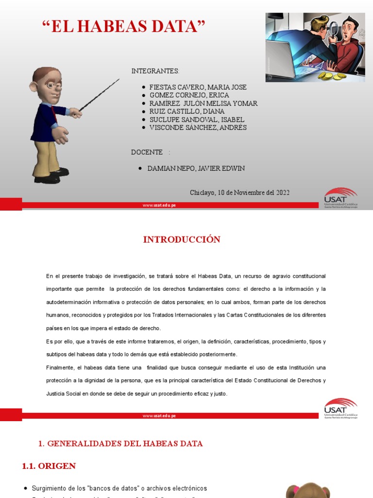 HABEAS DATA-ERICA Melisa | PDF | Constitución | Justicia