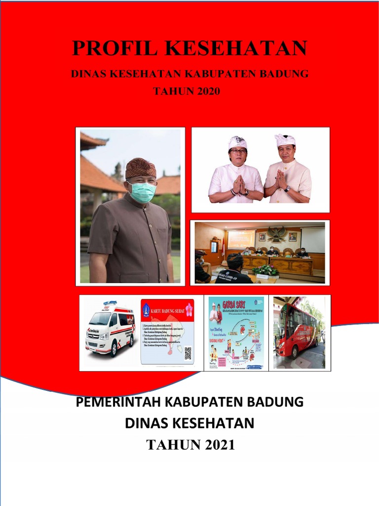 Profil 2020 Badung | PDF