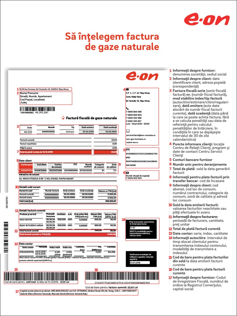 Explicatia Facturii de Gaze Naturale Eon Gaz Furnizare 03 2019 PDF | PDF