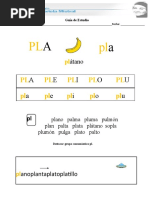 Actividades con sílabas pla, ple, pli, plo, plu | PDF