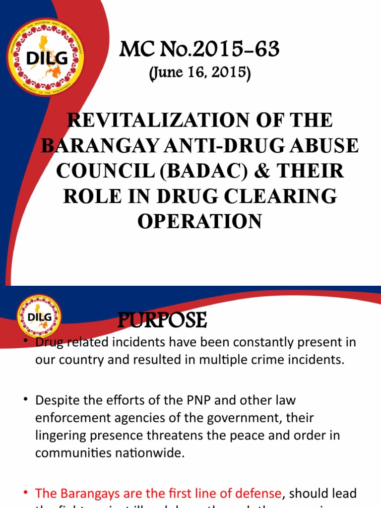 Badac Presentation | PDF | Social Science