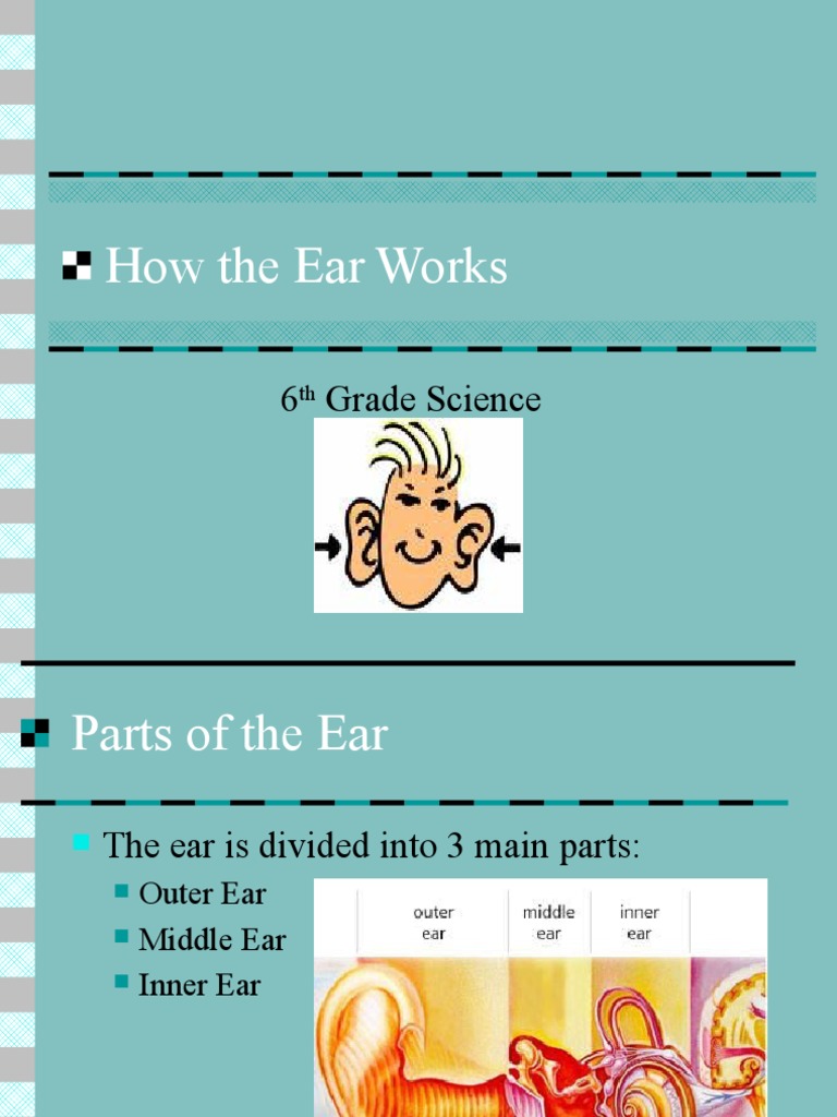 Wcpss Ear Sound | PDF