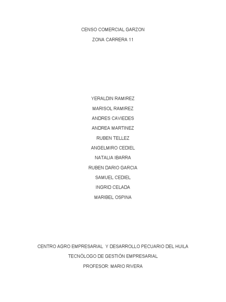 Censo Comercial Garzon | PDF