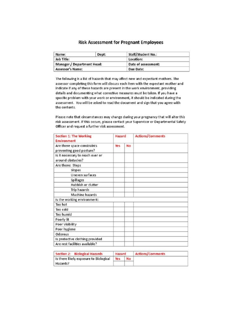Risk Assessment For Pregnant | PDF