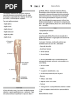 Anatomia da Região Glútea: Estruturas e Funções | PDF | Anatomia dos ...