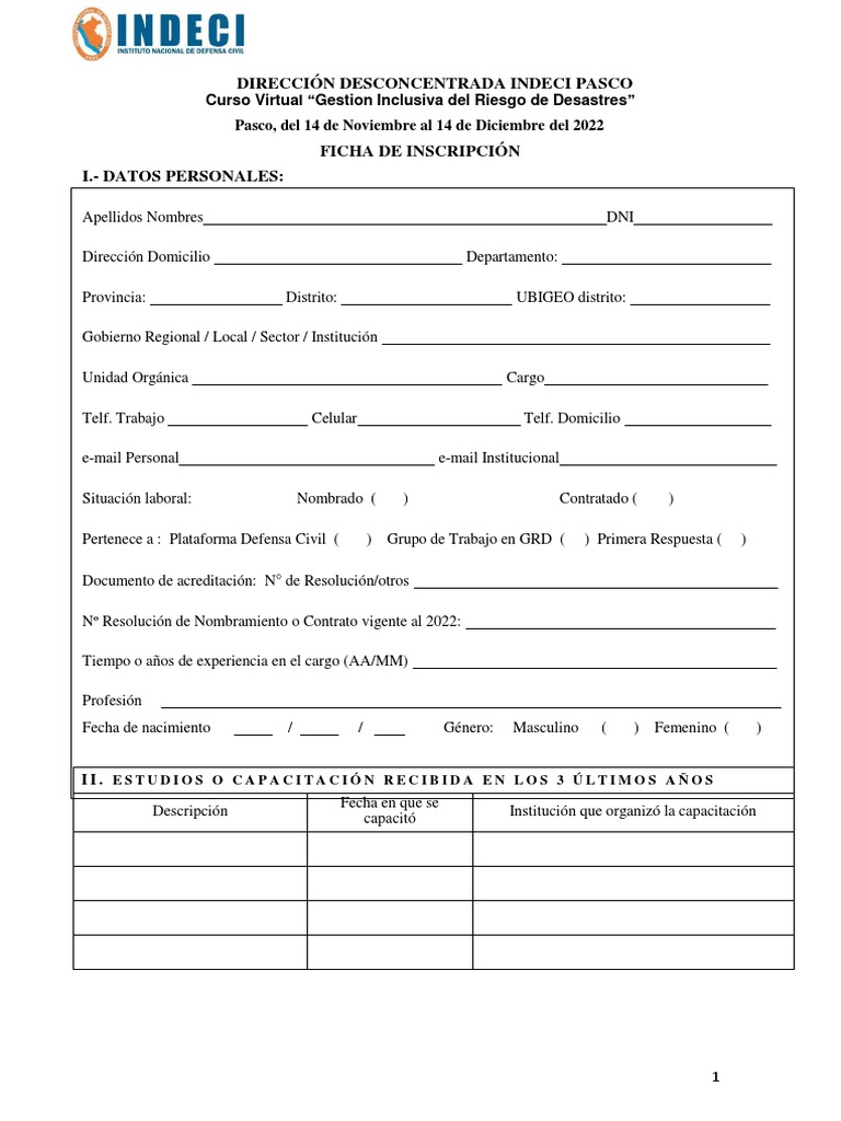 Formato Ficha Insc GIR | PDF | Privacidad de la información