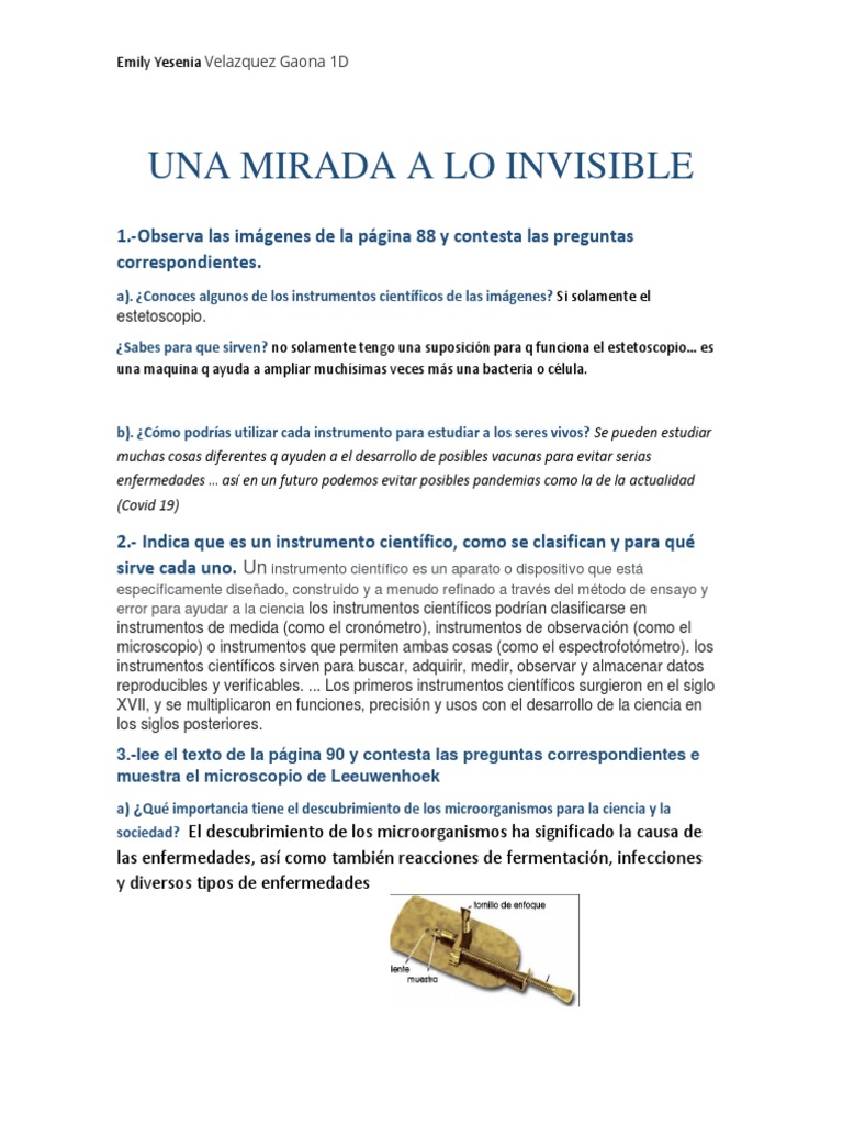 Una Mirada A Lo Invisible | PDF | Microscopio | Microorganismo