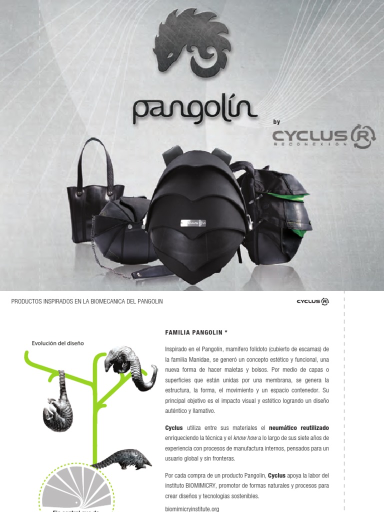 CYCLUS Pangolin | PDF