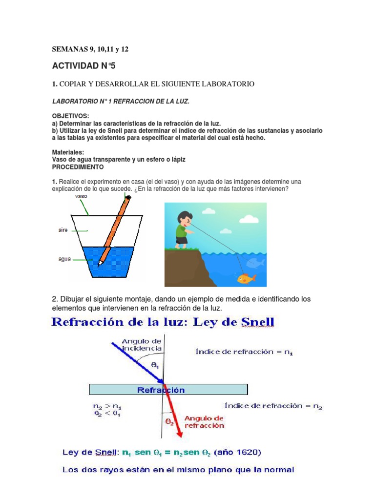 Guia #3 Refraccion de La Luz | Descargar gratis PDF | Ojo humano | Ligero