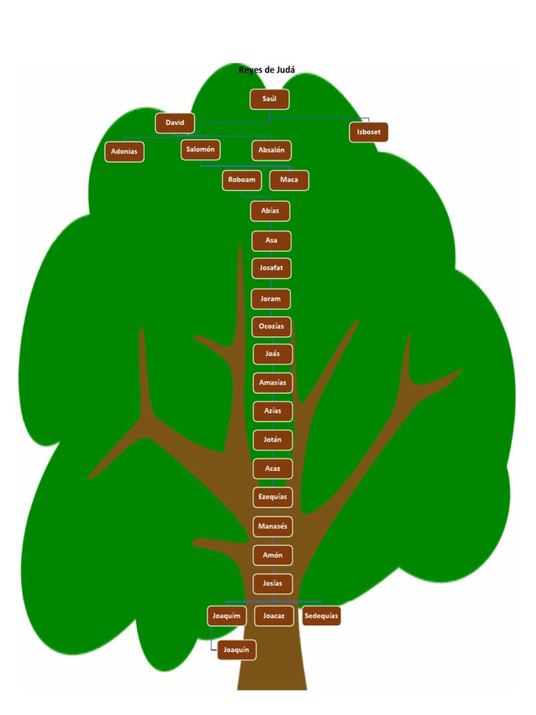 árbol Genealógico Del Antiguo Testamento Del Rey David