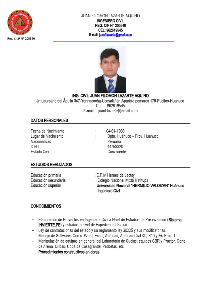 CV Actualizado | PDF | Perú | Ingeniero civil