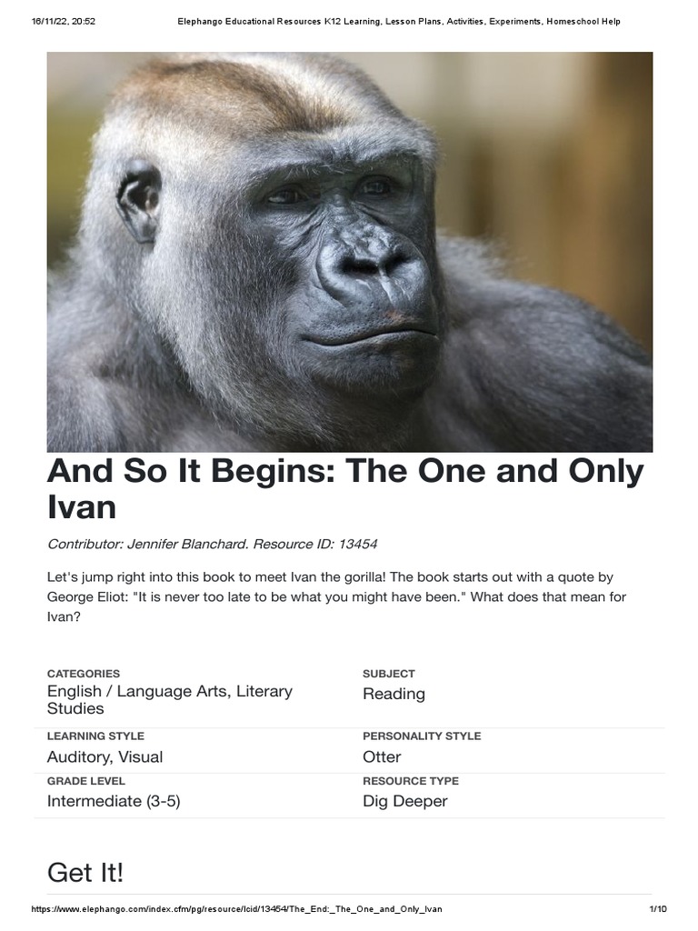 Exploring The One and Only Ivan | PDF | Thought | Books