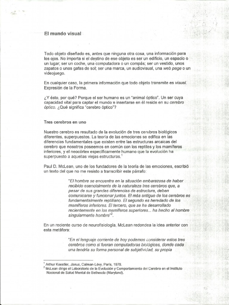 El Mundo Visual | PDF