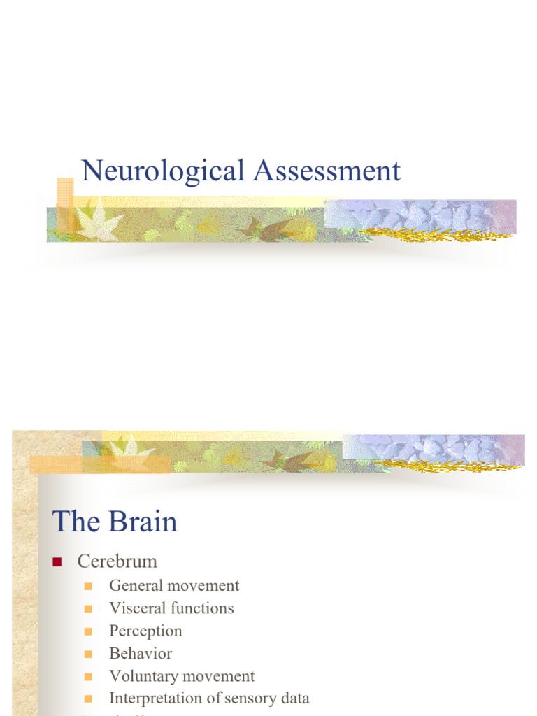 Neurological Assessment | PDF | Spinal Cord | Somatosensory System