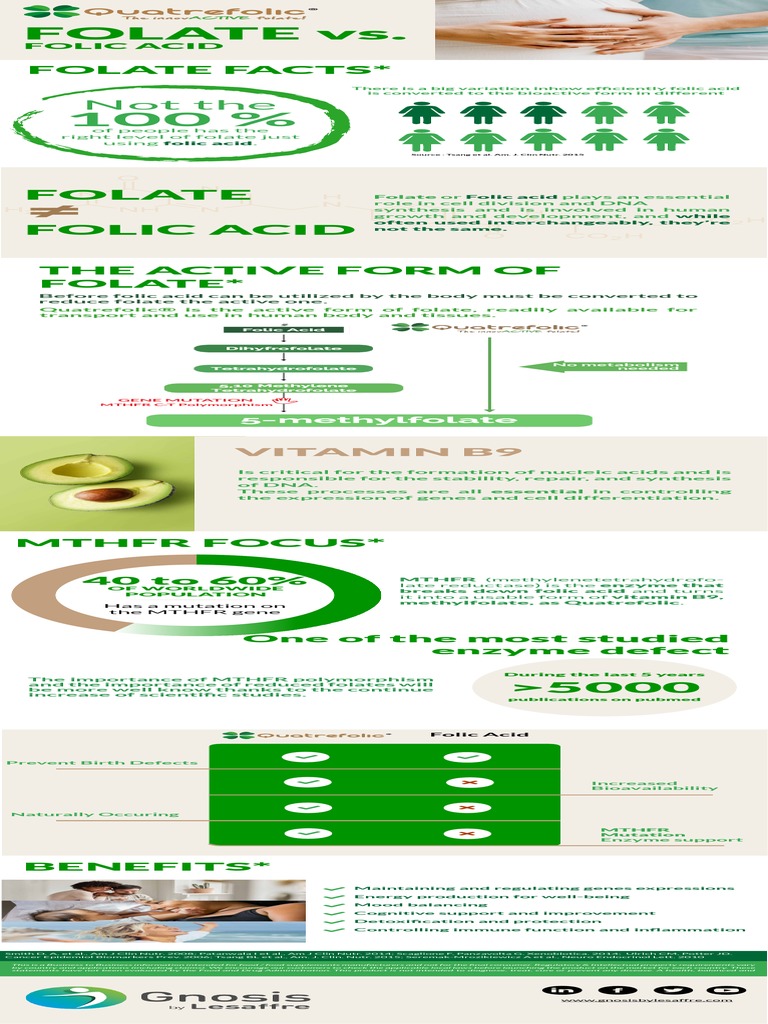 Infographic Folic Acid Vs Folate | PDF | Biology | Biochemistry