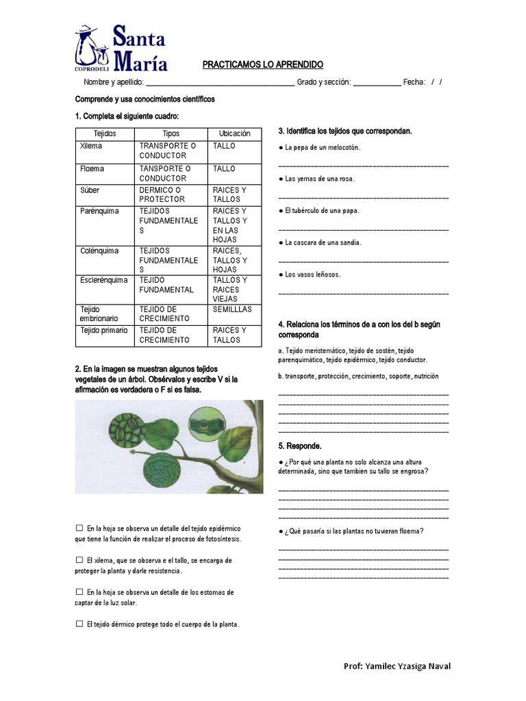 Practicamos Lo Aprendido | PDF