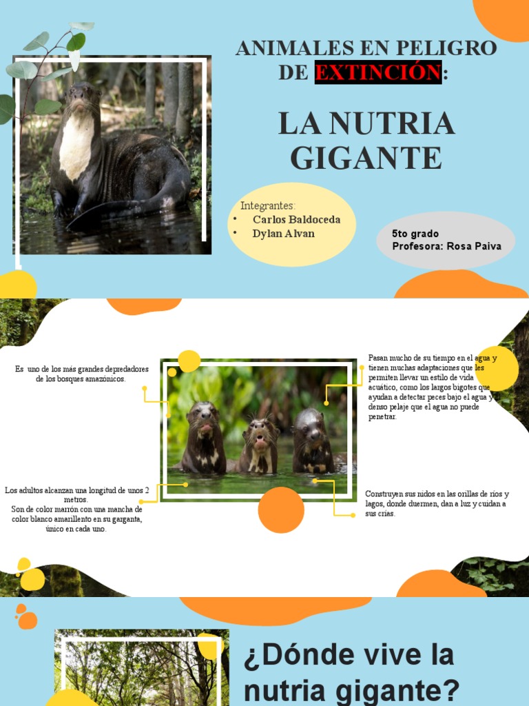 La Nutria Gigante - en Peligro de Extinción | PDF | Nutria | Extinción