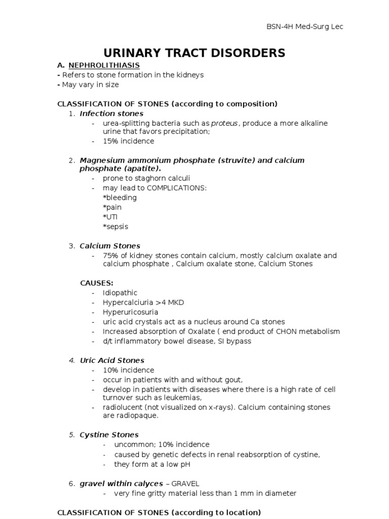 Urology Notes | PDF | Kidney | Genitourinary System