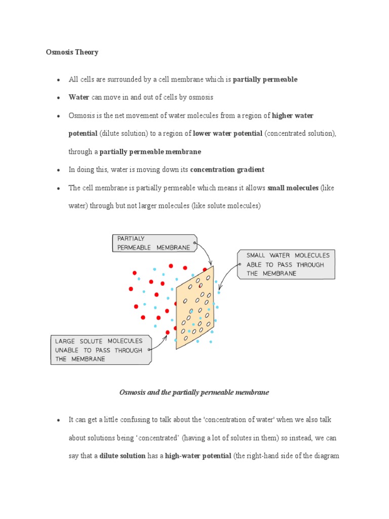 Osmosis Theory | PDF