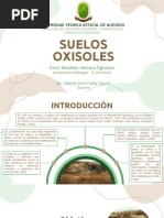 Suelos Fluvisoles Word | PDF | Suelo | Riego