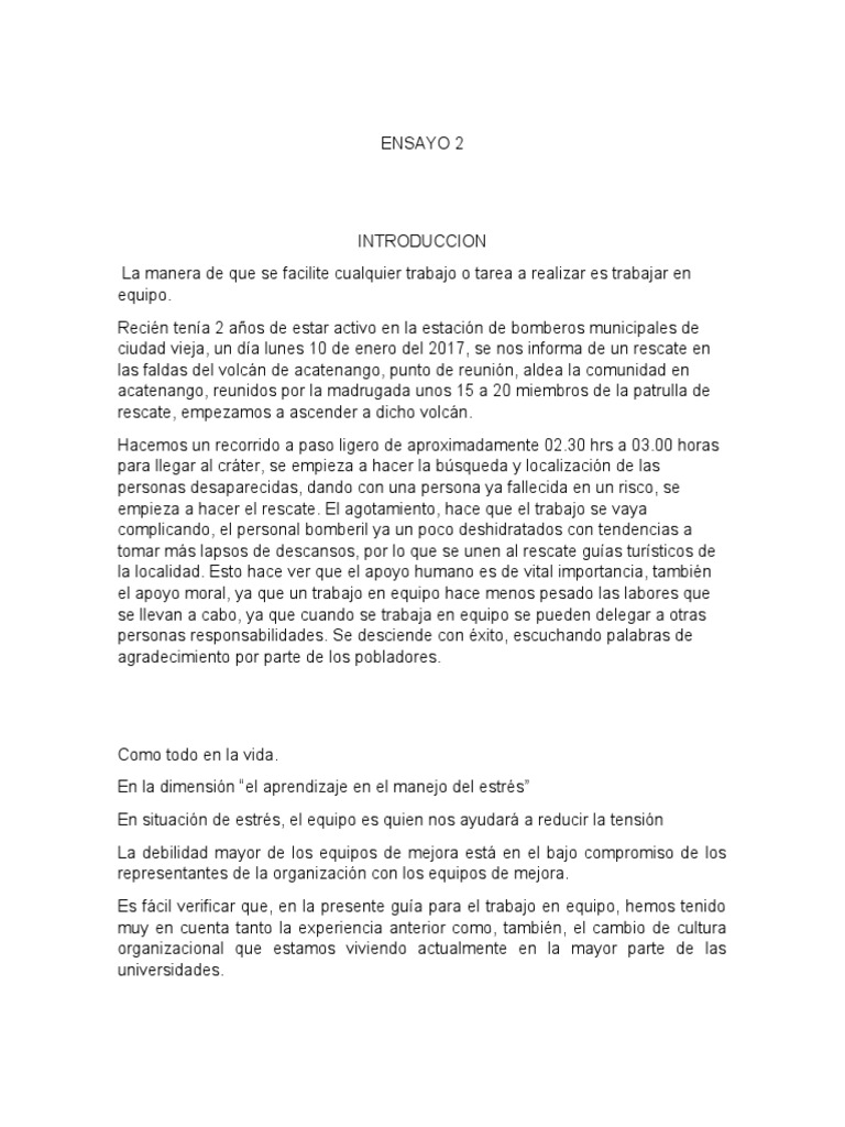 Ensayo 2 | PDF | Liderazgo | Grupo de trabajo