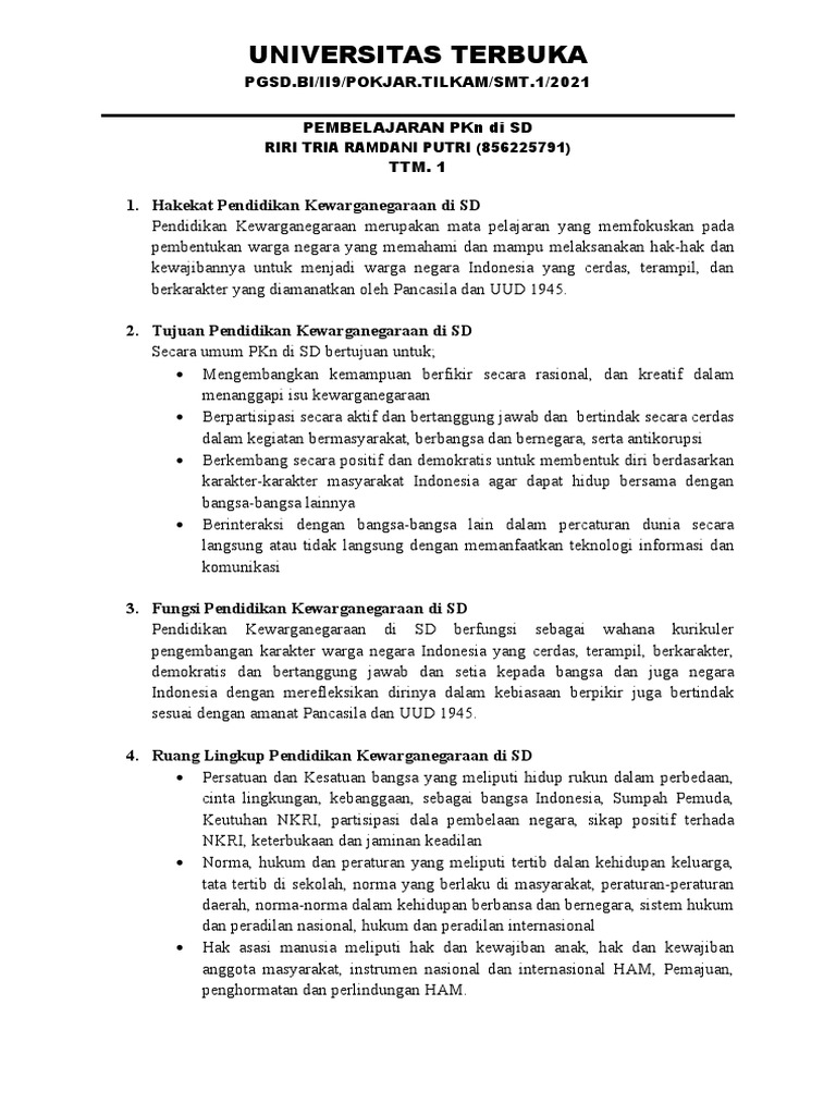 TTM 1 PKN | PDF | Ilmu Sosial | Kesehatan Holistik