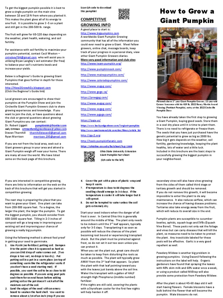 How To Grow A Giant Pumpkin | PDF | Plants | Seed