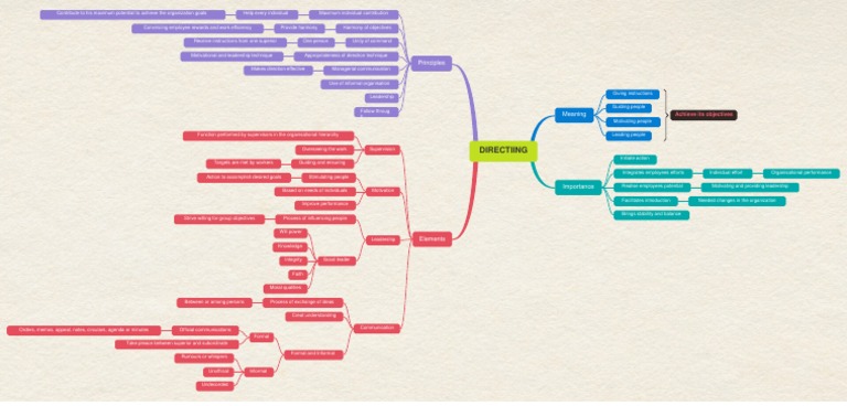 Directing | Download Free PDF | Leadership | Business