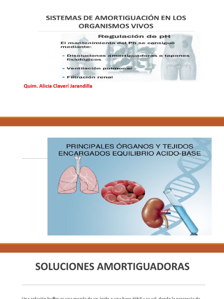 Soluciones Amortiguadoras Labo | PDF | Ph | Solución tampón