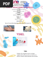 Proteus Ox-19 y Rickettsiosis: Guía Clínica | PDF | Organismos ...