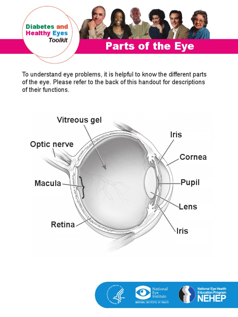 Ojo Eye Handout English | PDF | Wellness | Computers