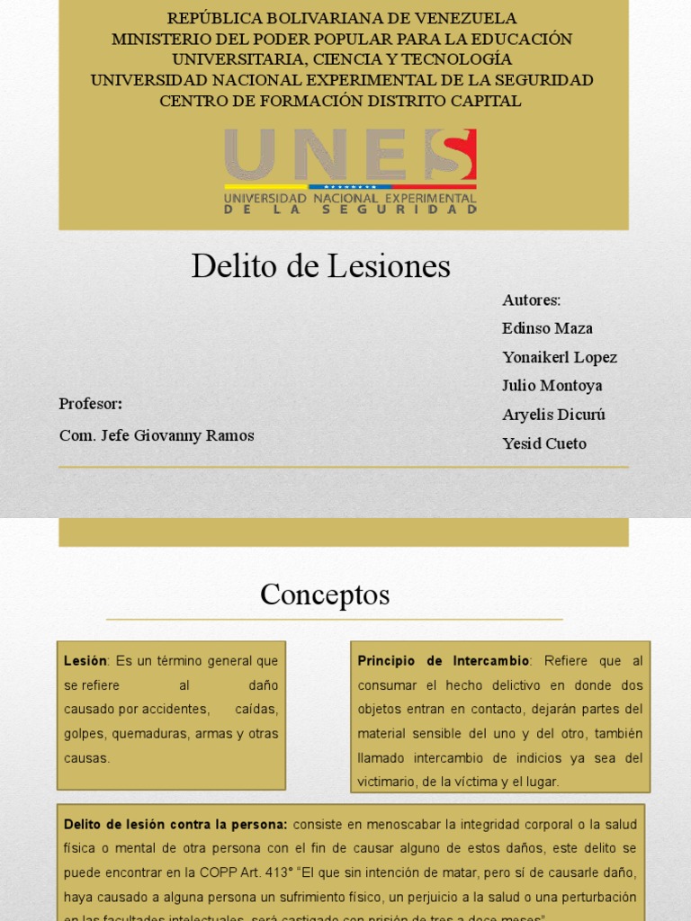Delito De Lesiones Pdf Asalto Victimologia
