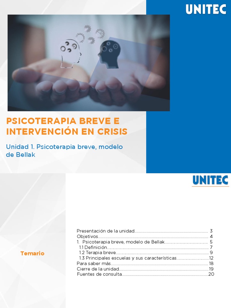 Unidad 1 Psicoterapia Breve, Modelo de Bellak | PDF | Psicoterapia ...