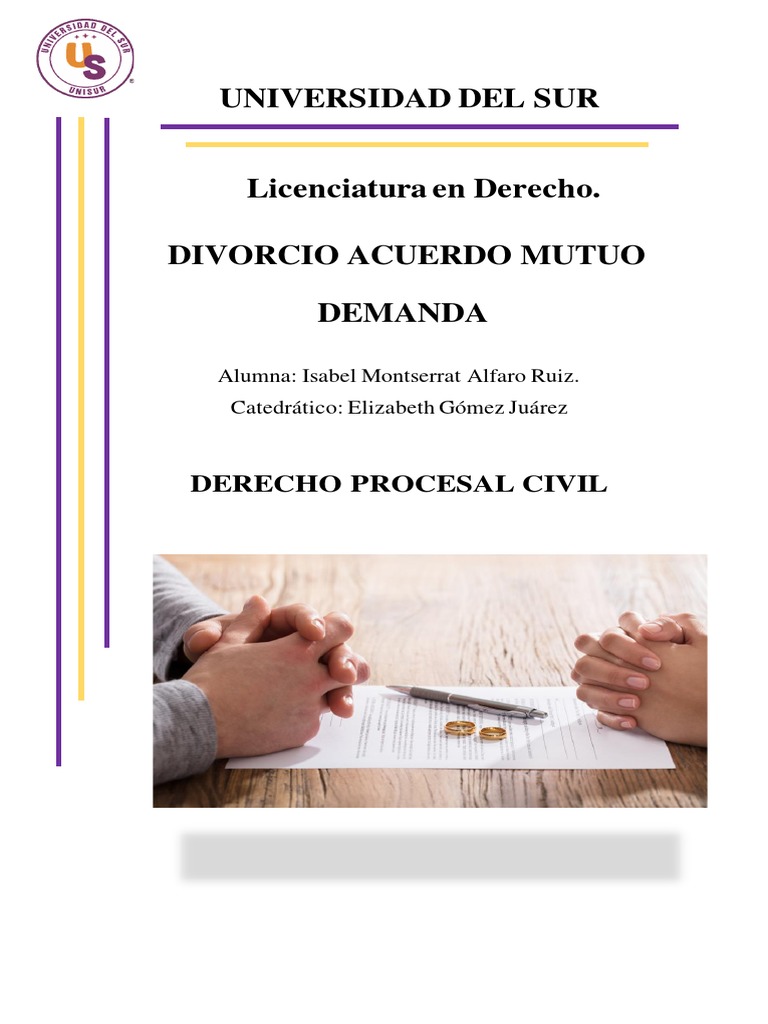 Divorcio Acuerdo Mutuo Pdf Divorcio Matrimonio