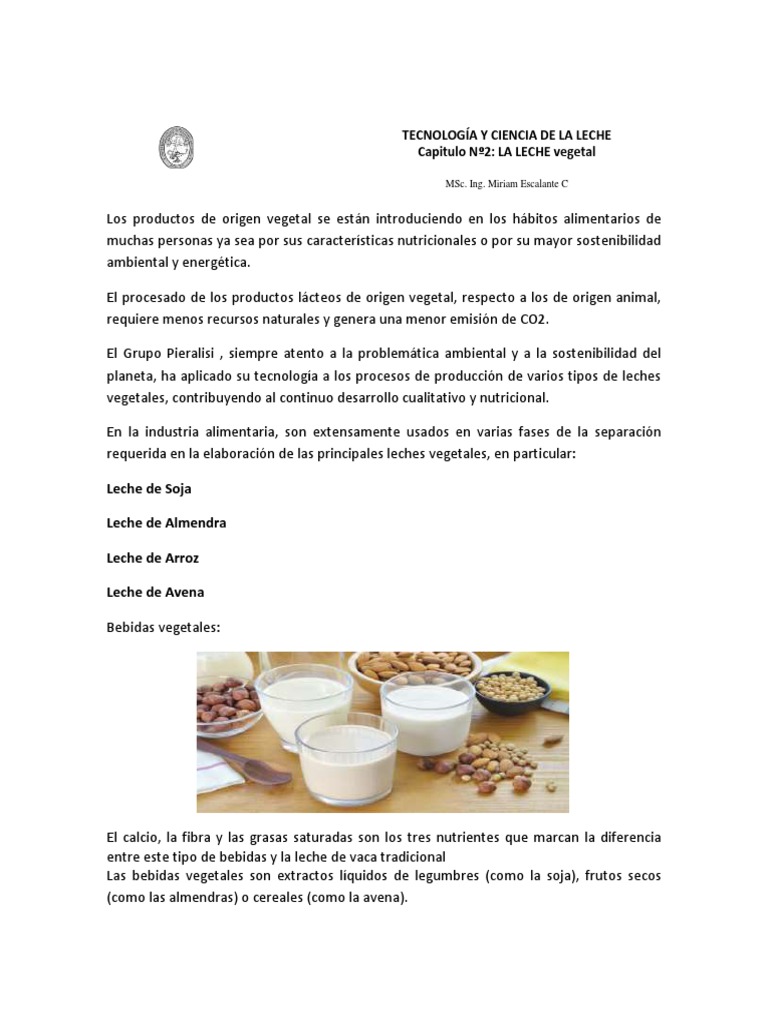 Leche de Origen Vegetal ENVIAR | PDF | Leche | Cereales