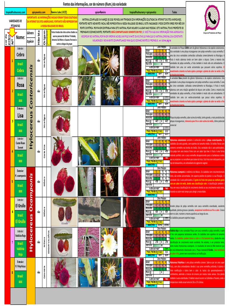 Variedades de Pitahayas: Guia Prático | PDF | Plantas | Gosto