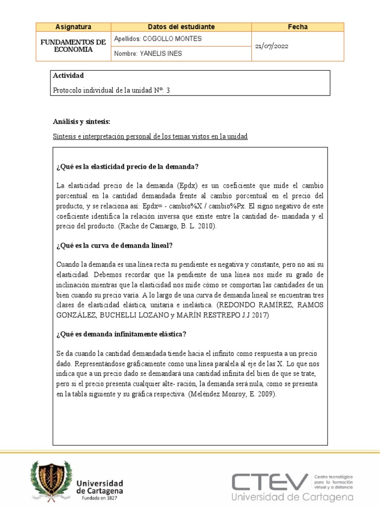 Protocolo Individual #3 | PDF