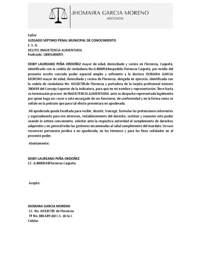 Formato de Poder Amplio y Suficienteante Un Juez | PDF