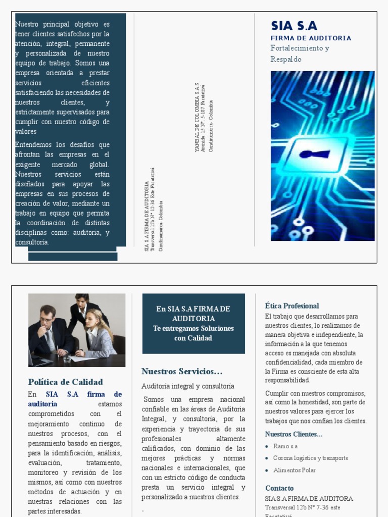 Brochure Auditoria 3 | PDF | Auditoría | Business
