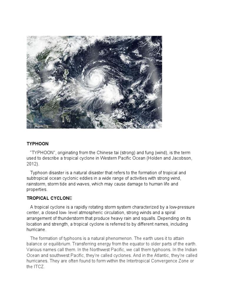Typhoon Report | PDF | Tropical Cyclones | Cyclone