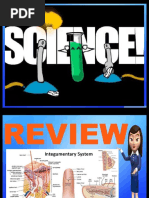 Constipation in Children - CKS - NICE | PDF | Digestive Diseases ...